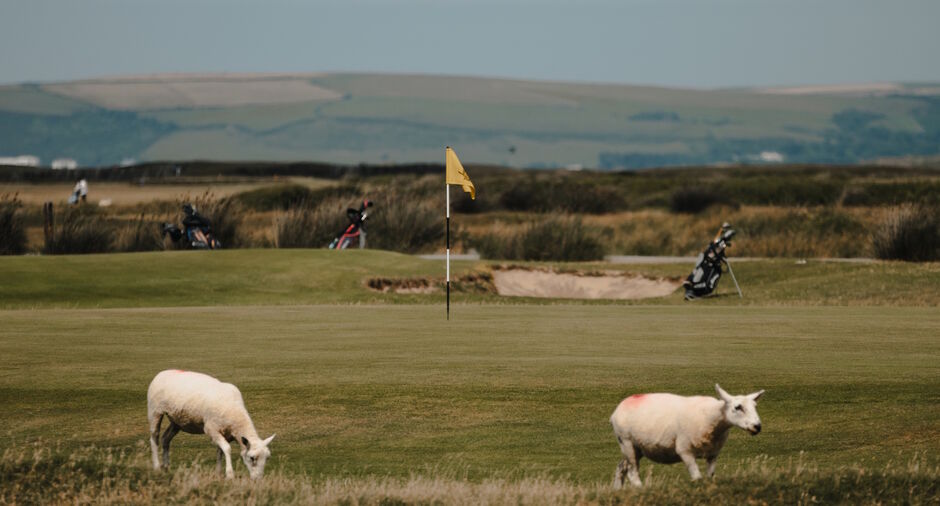 Environment Mission Statement :: Royal North Devon Golf Club, golf club in devon, finest links ...